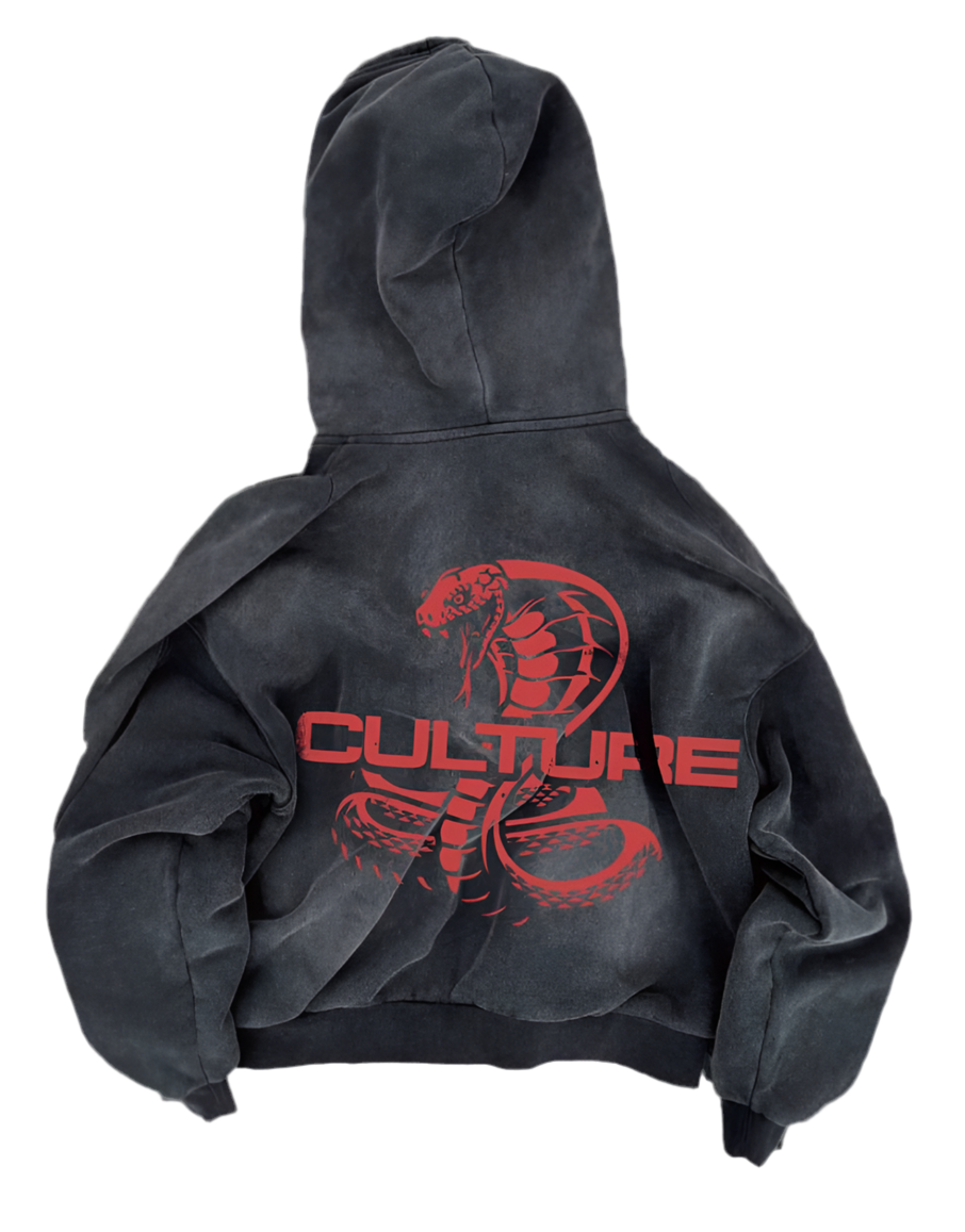 Vintage Graphic Zip Up Hoodie Y2kgloball